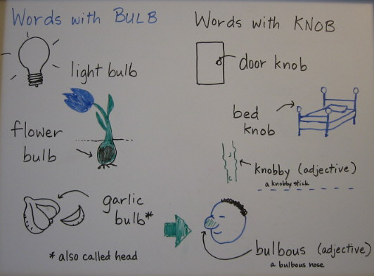 Mastering English: ESL Lesson on Words with Bulb & Knob + FAQs & Quiz